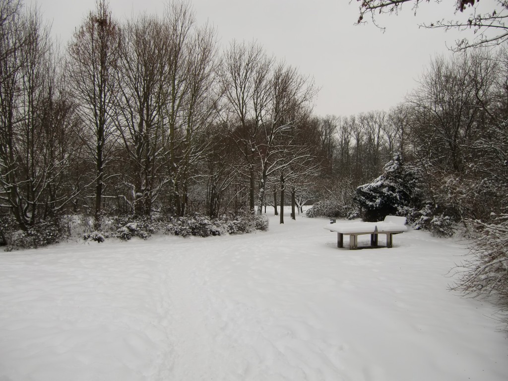 Schnee ohne Ende - Rolfs Blog